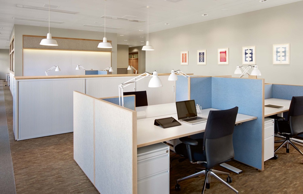 Novartis - Novartis Office Basel - MACH Architecture